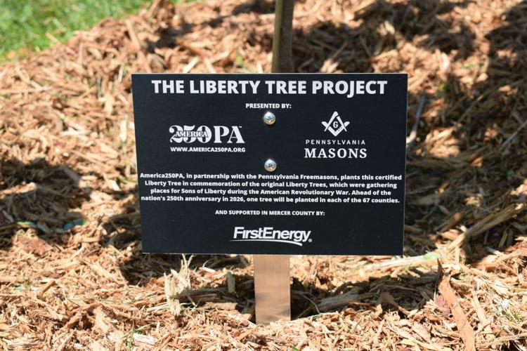 This tree has roots in freedom | News | recordargusnews.com