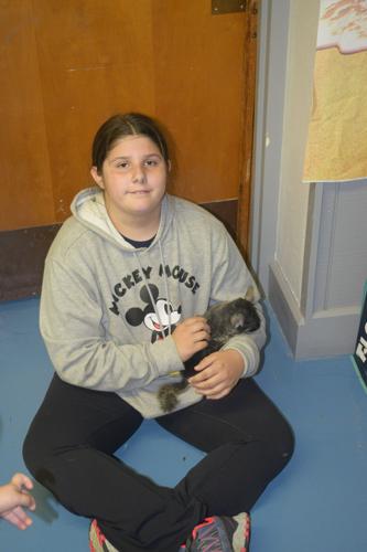 Mercer County 4-H opening up a new club in Jamestown | News ...