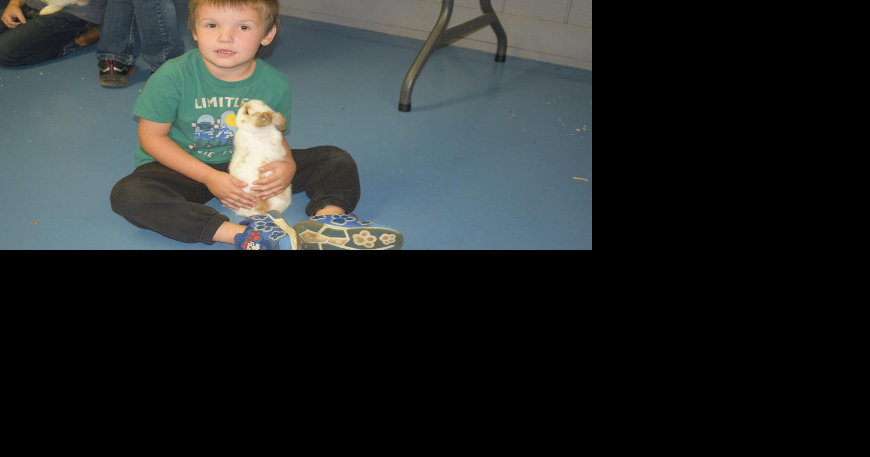 Mercer County 4-H opening up a new club in Jamestown | News ...