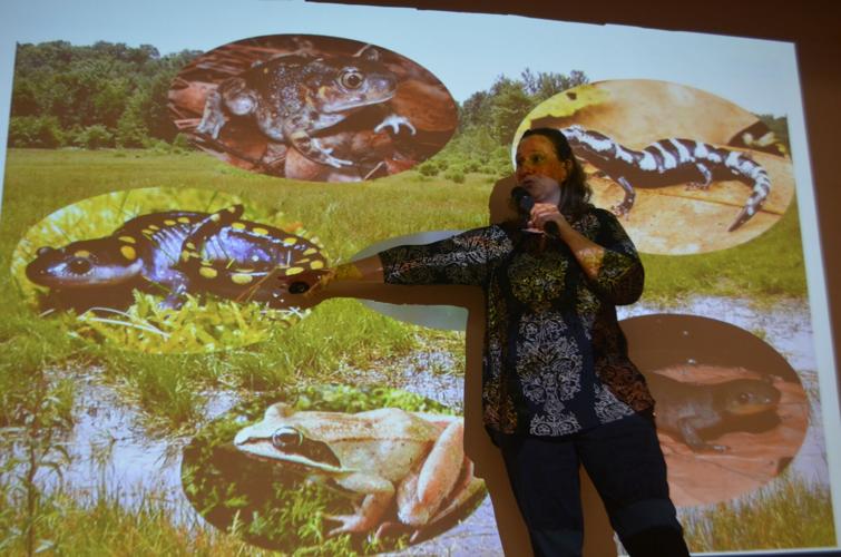 Educators, trout manager honored as conservation pioneers | News ...