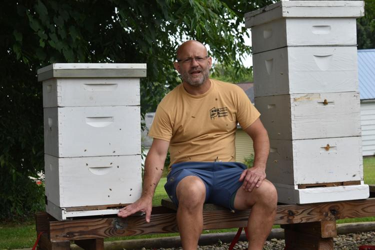 Greenville honeybees granted exemption to stay | News | recordargusnews.com