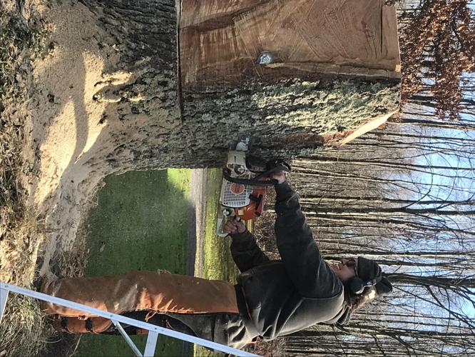Carver makes art of front-yard tree | News | recordargusnews.com