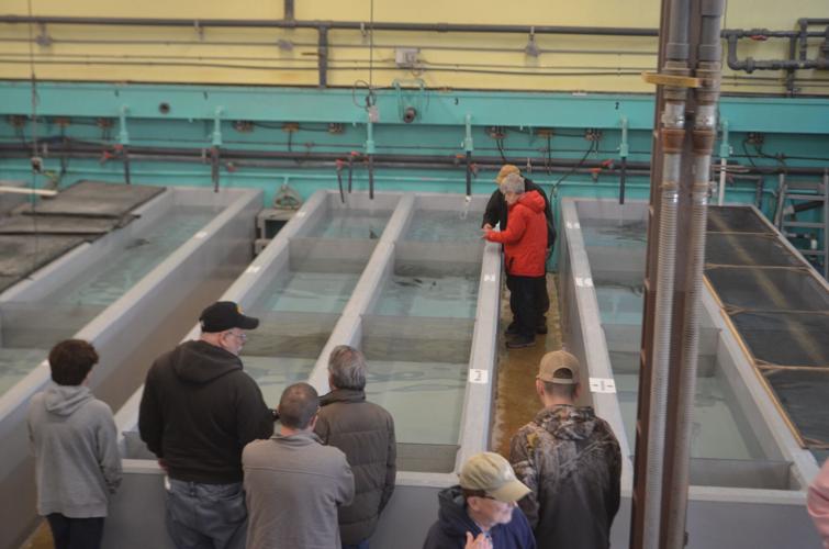 Linesville Fish Hatchery celebrates annual open house | News ...