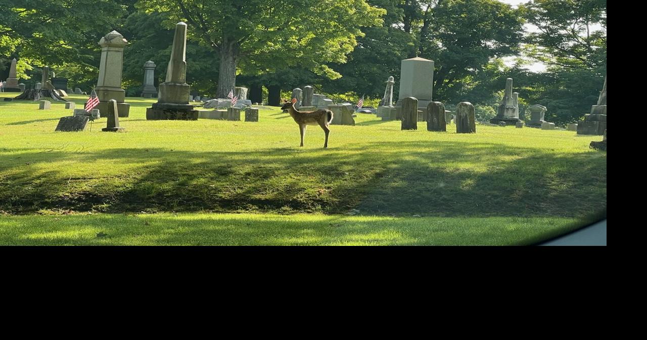 Shenango Valley Cemetery keeping eye on bottom line as burials decrease ...
