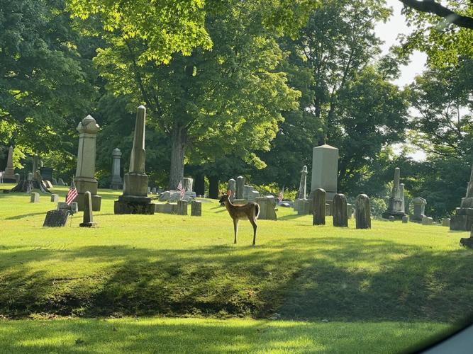 Shenango Valley Cemetery keeping eye on bottom line as burials decrease ...