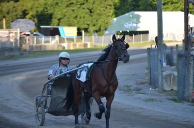Harness racing at Stoneboro Fairgrounds | News | recordargusnews.com