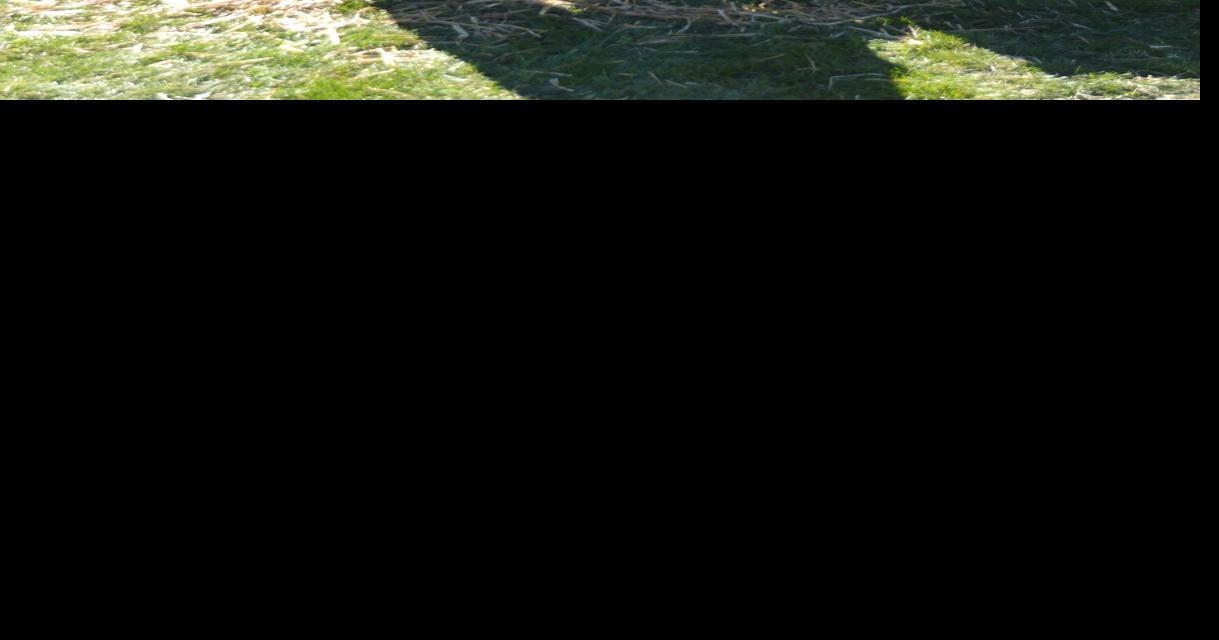 Mr. Byte, Strawbert and Falling for Fall scarecrows in the park | Local News | recordargusnews.com