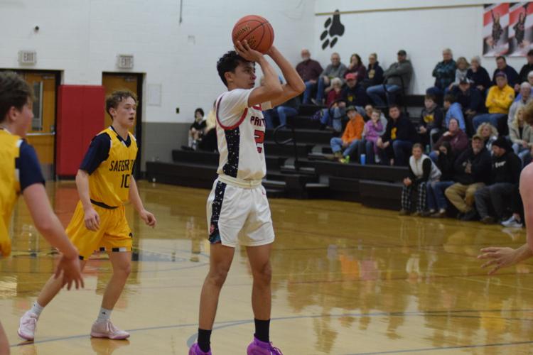 Local roundup: Saegertown wins battle of the Panthers, 67-33 over ...