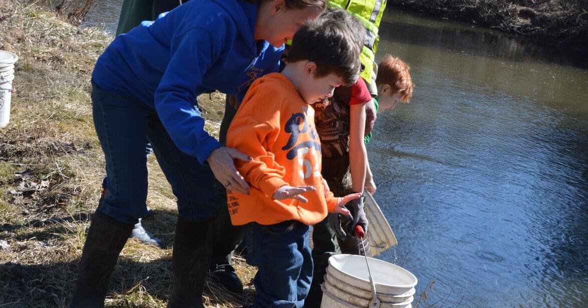 Fish & Boat, Scouts stock LIttle Shenango | News | recordargusnews.com