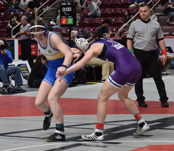 Enterline and Ryhal record pins in inaugural PIAA championships ...