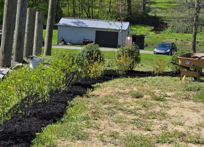 Mercer comes together to clean up Brandy Springs | News ...