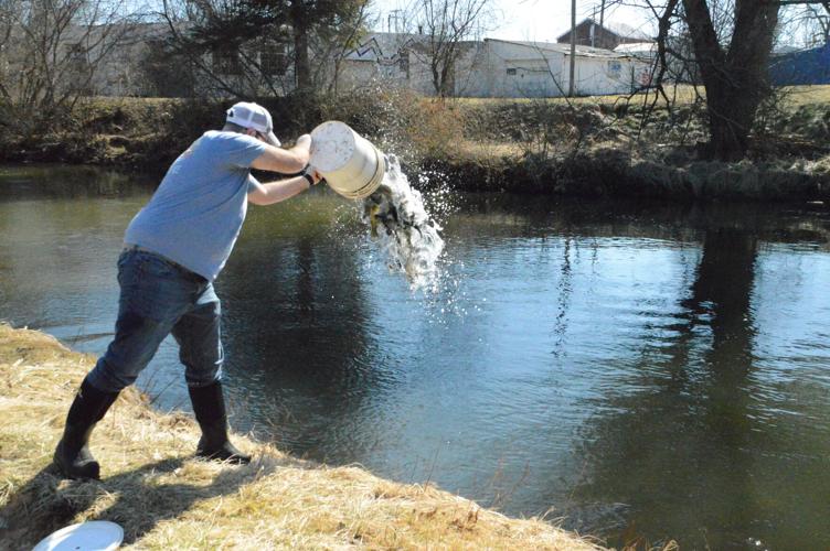 Fish & Boat, Scouts stock LIttle Shenango | News | recordargusnews.com