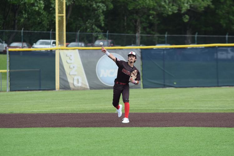 Lakeview defeats Sharpsville, 6-2, for 1st District 10 title | Sports | recordargusnews.com