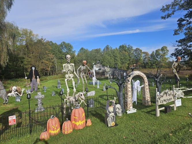 Bone Deep Cemetery continues to grow with Skellie Lady's passion | News ...