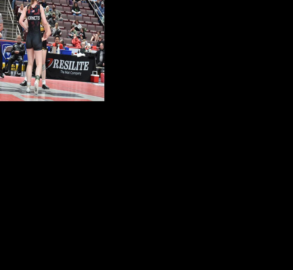 History made as Avry Ryhal wins gold at state championship | Sports ...