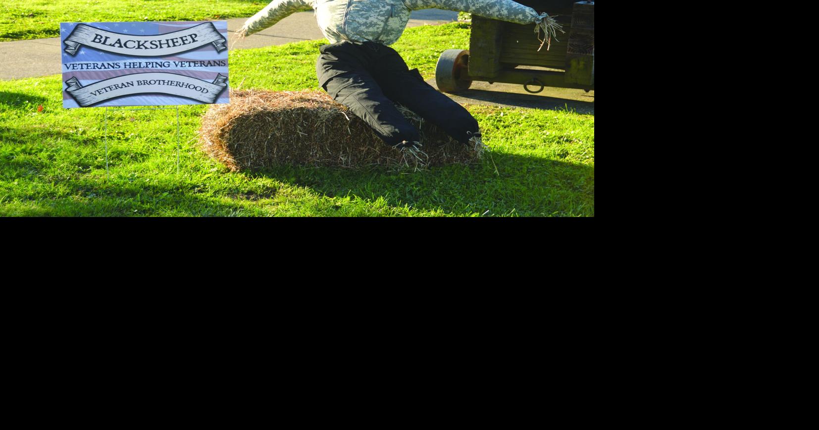 Scarecrows take over Central Park for annual event | Community ...