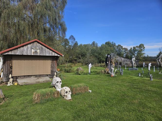 Bone Deep Cemetery continues to grow with Skellie Lady's passion | News ...