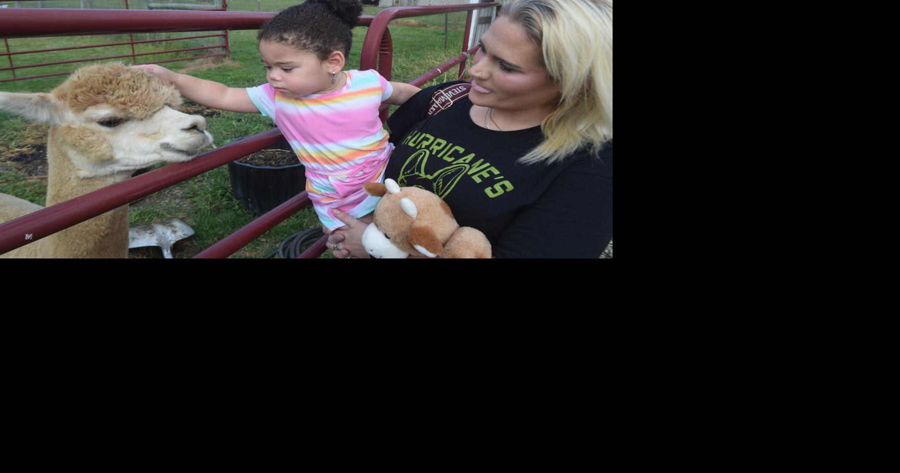 Bringing the city to the country with Alpaca Farm Day | News ...