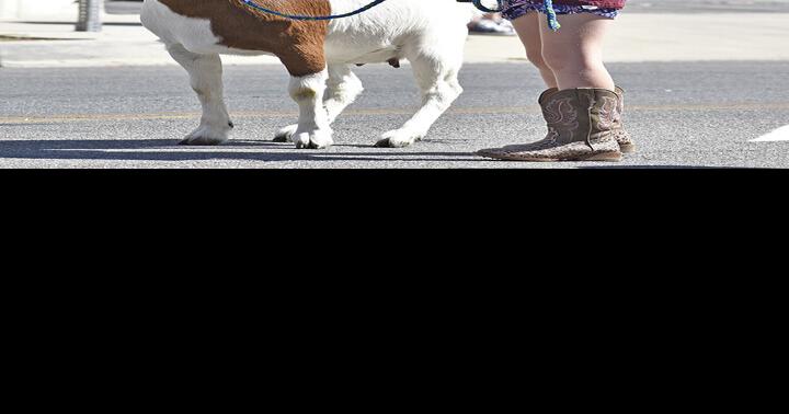 Stagecoach Parade rides through Banning | Entertainment | recordgazette.net