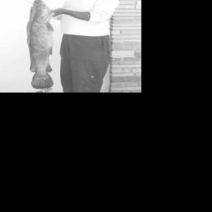 A 40-pound fish tale | Sports | recordgazette.net