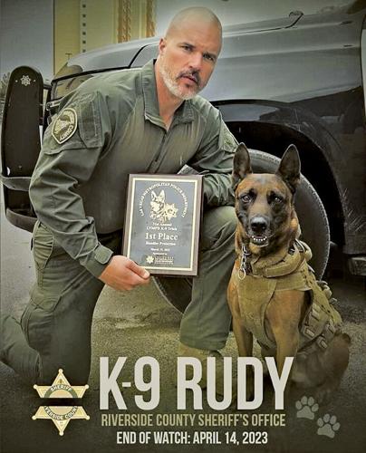 Suspect, K9 killed during apprehension of wanted felon | Inland Empire ...