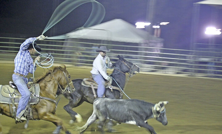 Ropers kick up dust at Morongo Rodeo | Entertainment | recordgazette.net