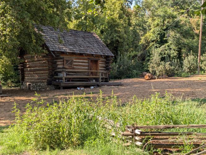 Riley’s Farm is more than an apple farm | Entertainment | recordgazette.net