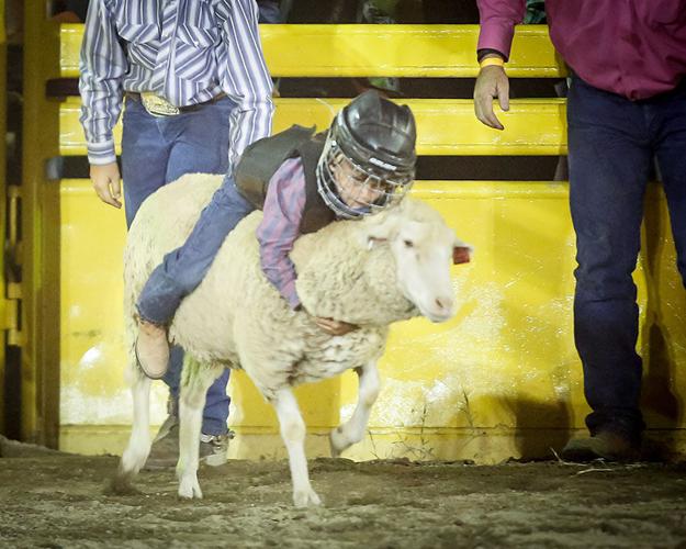 Stagecoach rodeo barrels of races and fun | Community | recordgazette.net