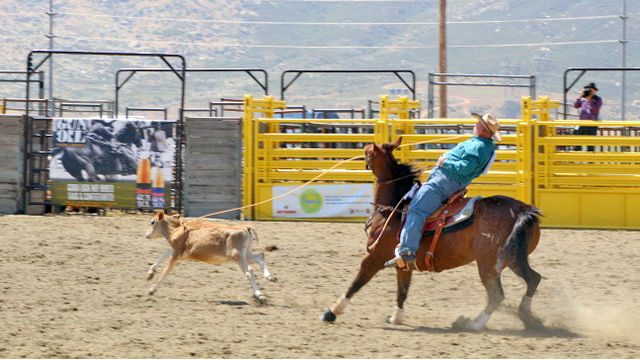At annual Hot Rodeo, a grand old time | | recordgazette.net