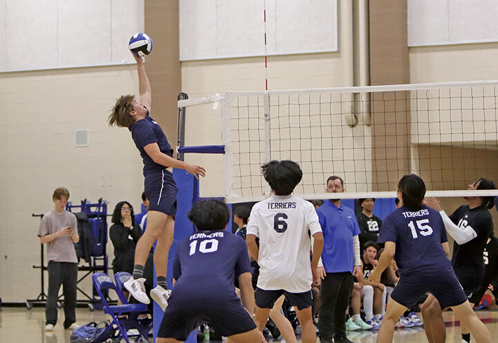 Seasoned Terriers down Cougars | Sports | recordgazette.net