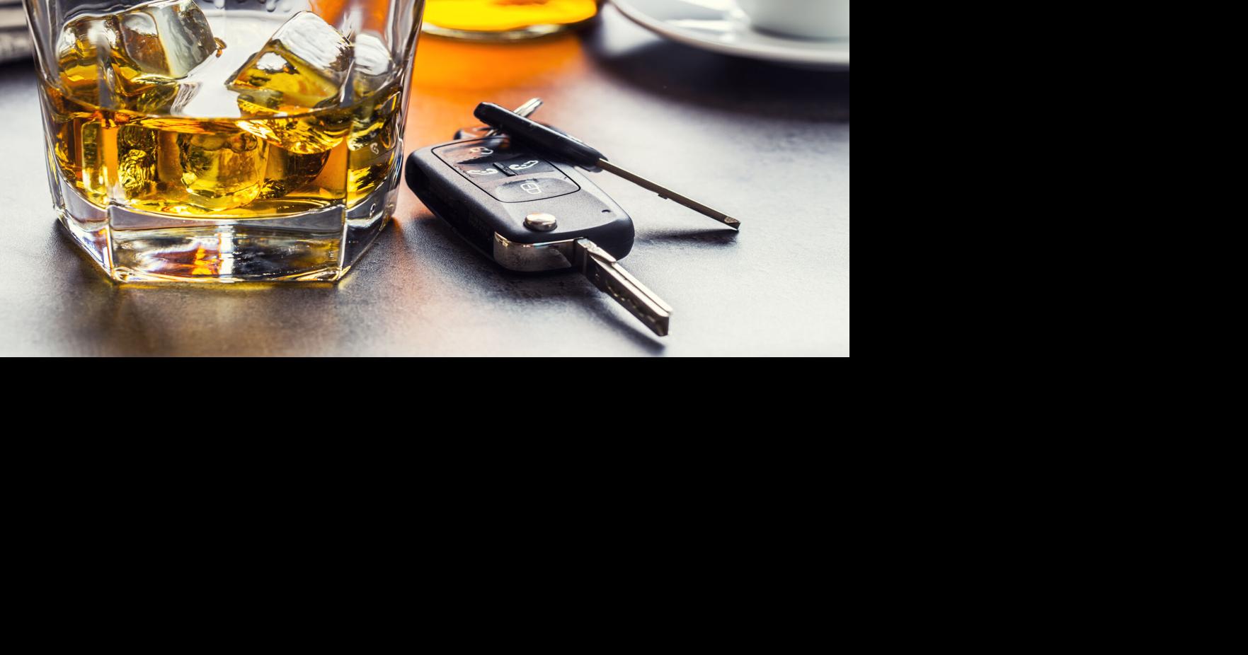 Banning PD cites 23 at checkpoint | News | recordgazette.net