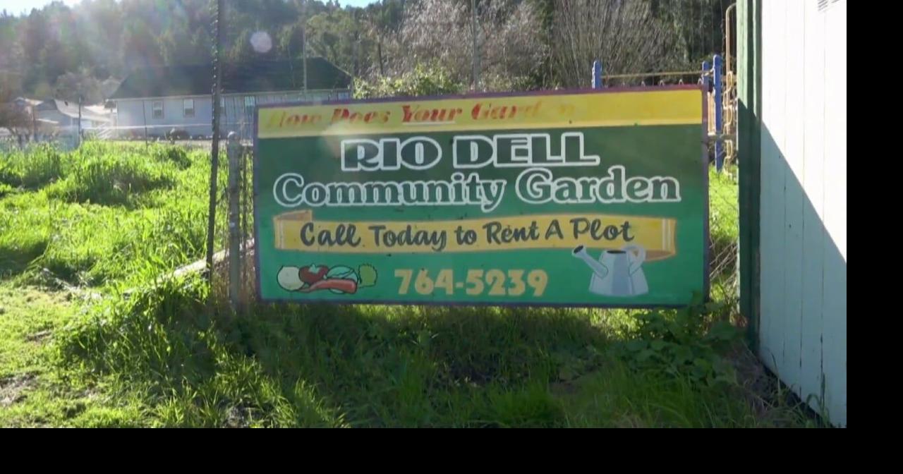 The Garden Revitalization Project Set to Bring Free Fresh Produce to ...