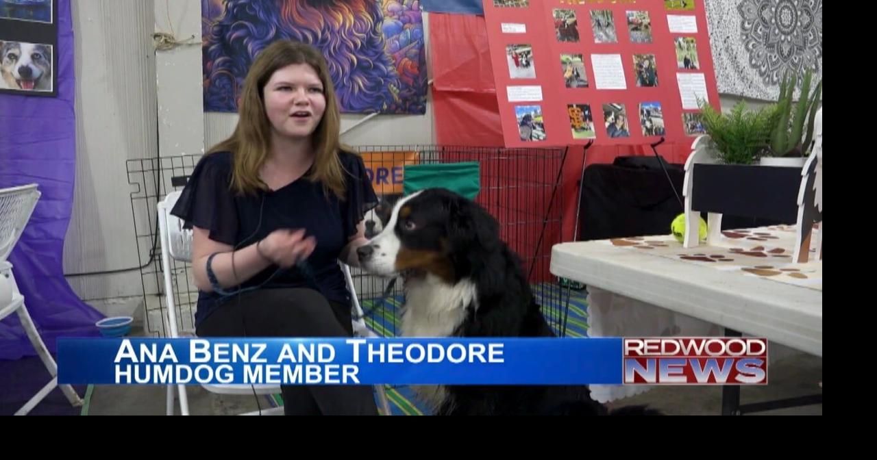HumDog's Dog Expo displays dog sportsmanship and community | Local-news ...