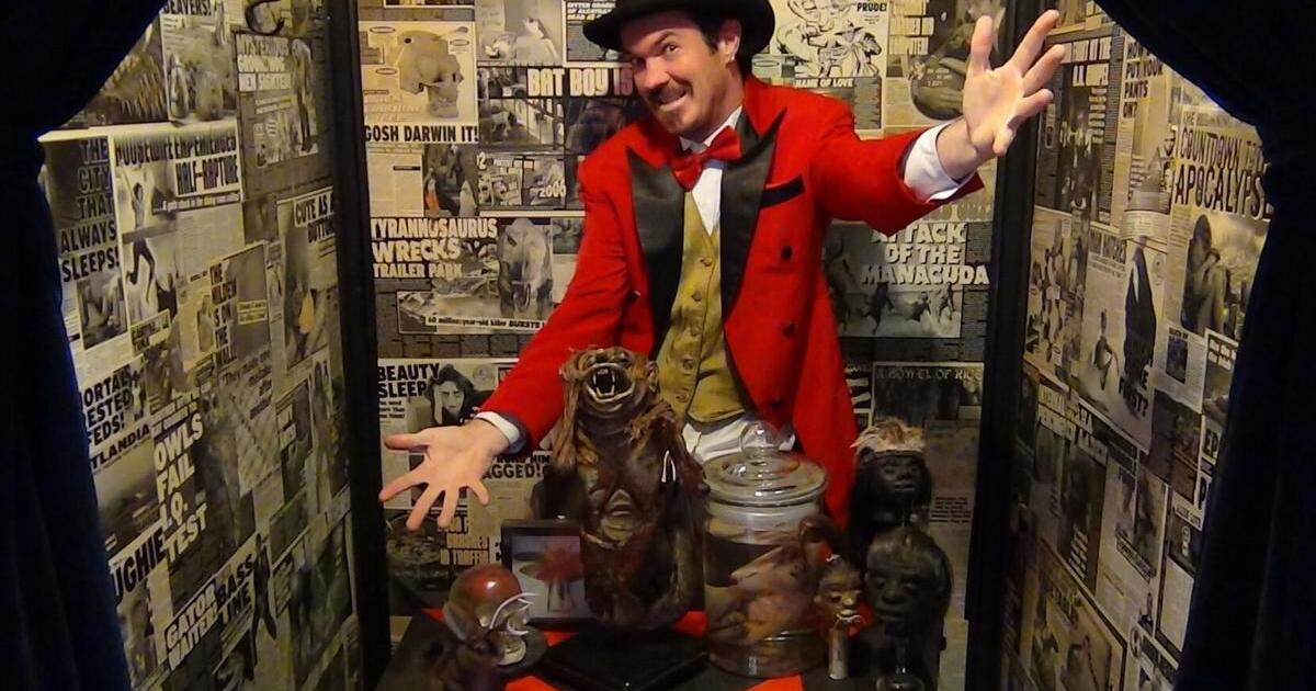 Circus Performer Shea Freedomhowler | Local-news | redwoodnews.tv