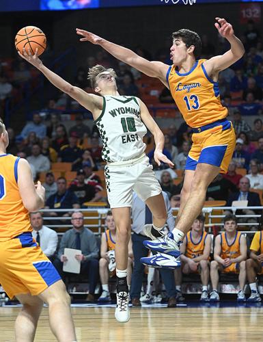 Boys prep basketball Class AA all-state: Warriors freshmen Johnson ...