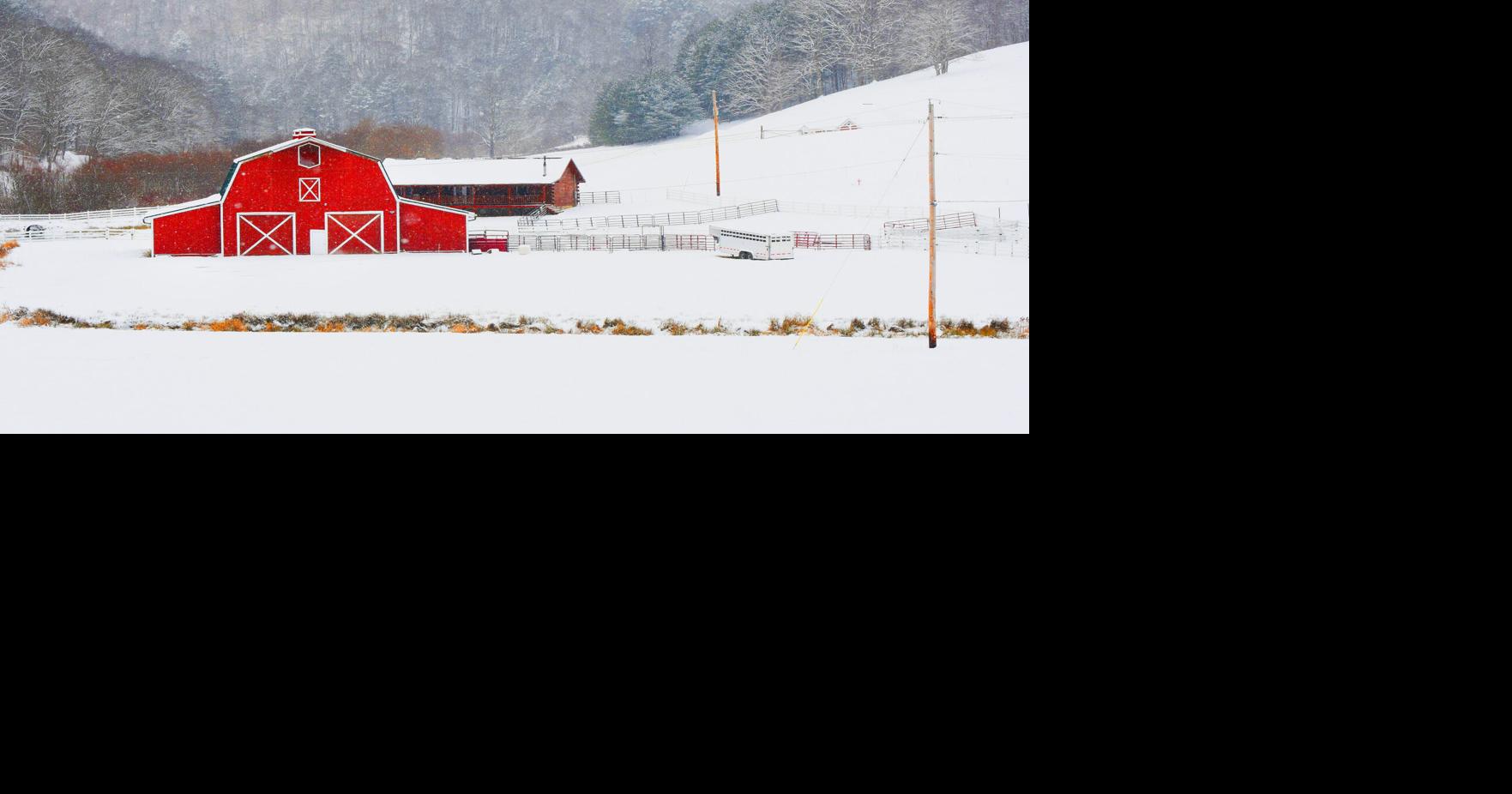 GALLERY: Best Photos of 2024 by Rick Barbero | Gallery | register ...