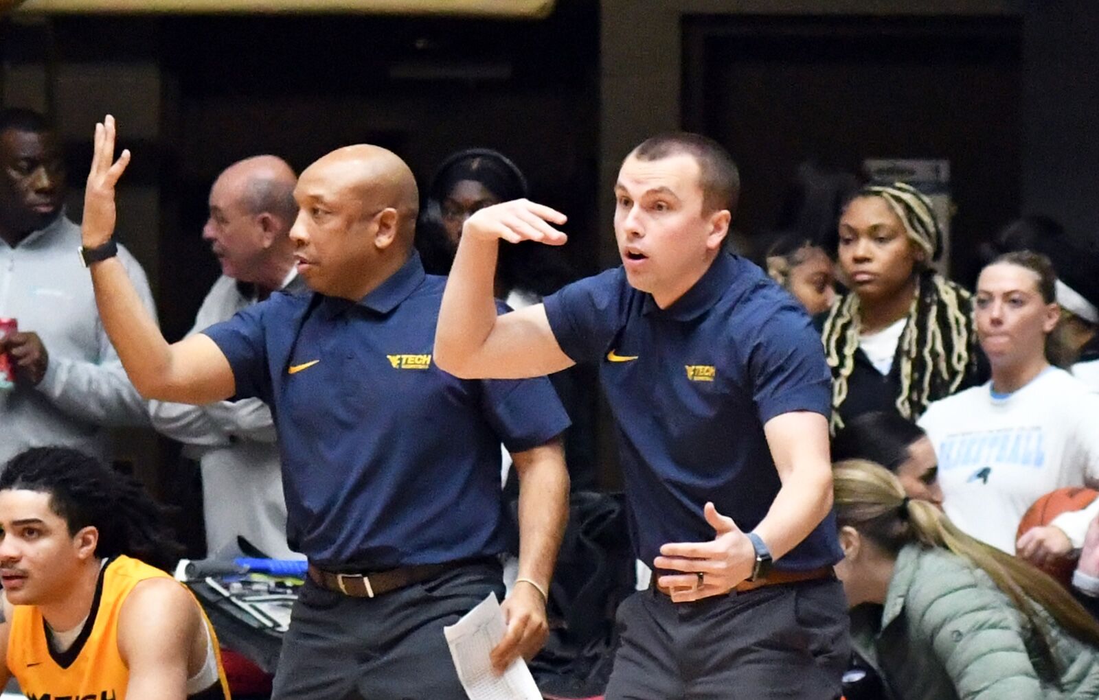 Men's college basketball: Jackson brothers reunite as Golden Bears ...