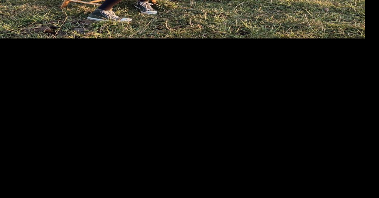 The Marks Family "String Beings" set to take the Carnegie stage | Life ...