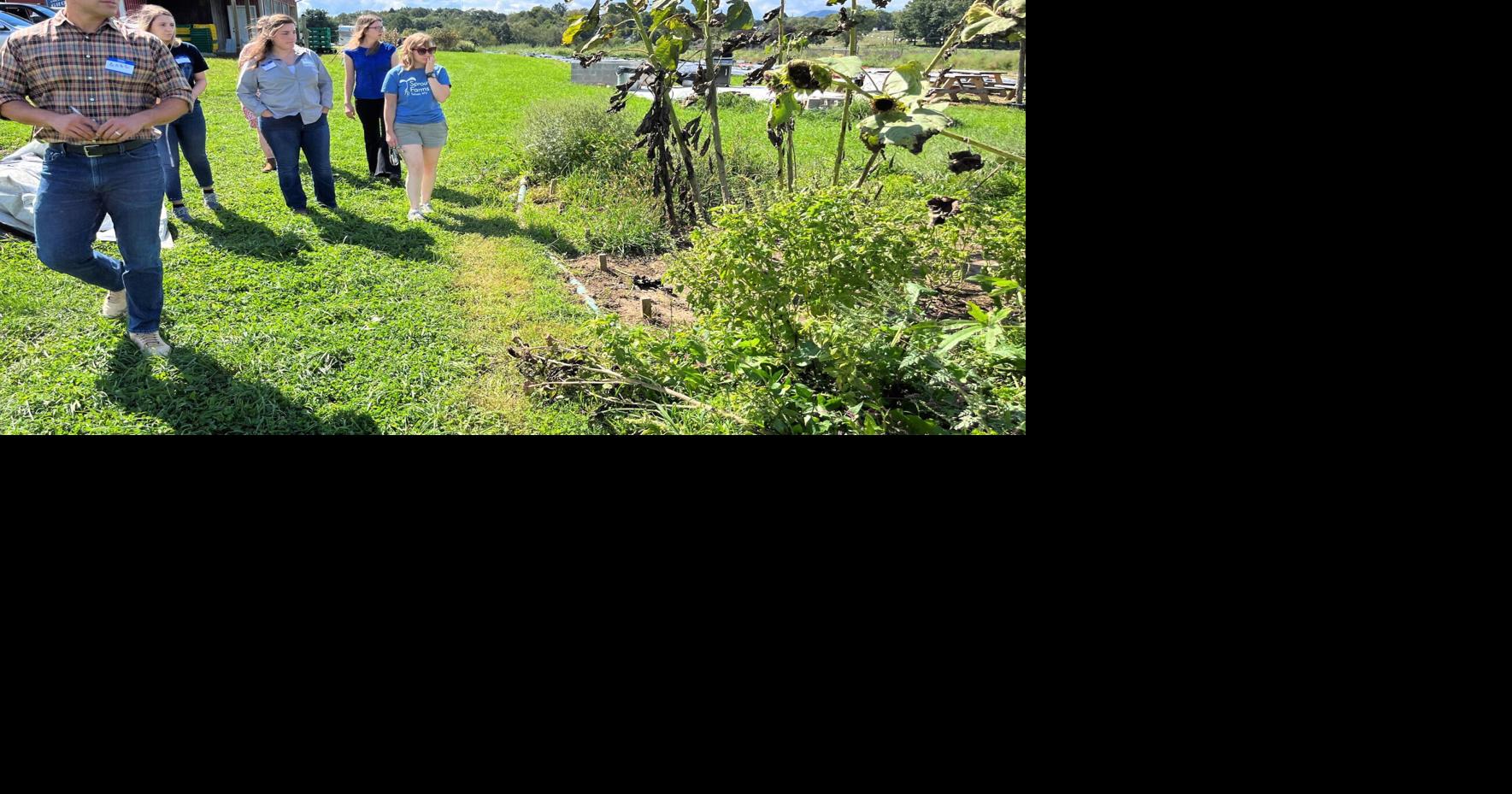 New Roots Farm Market up and running | News | register-herald.com