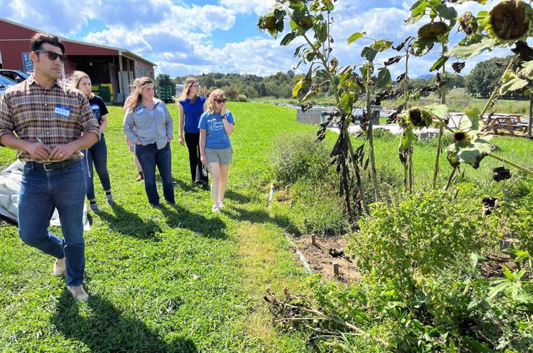 New Roots Farm Market up and running | News | register-herald.com