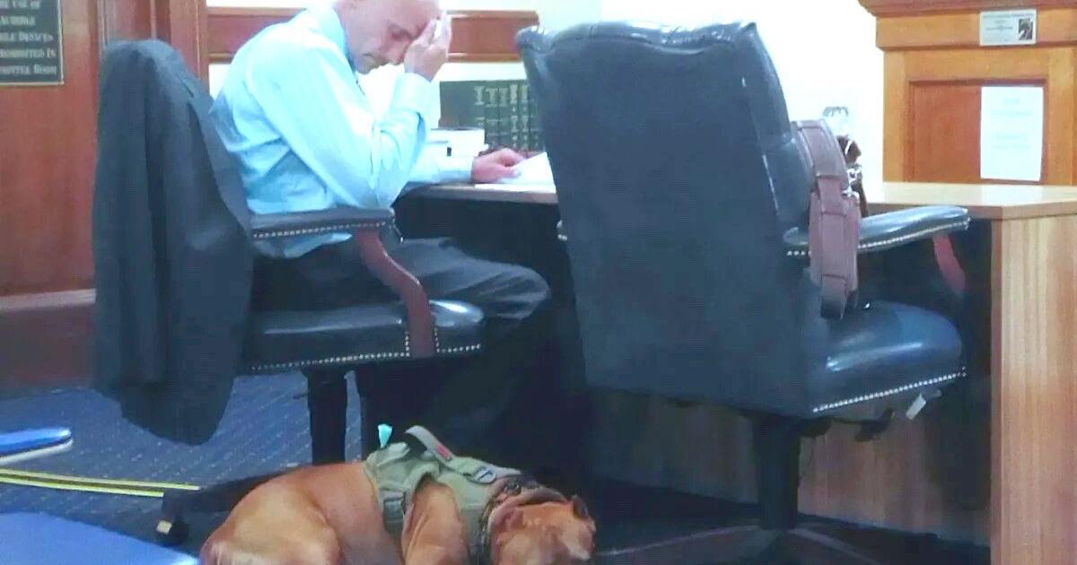 17 years ago, West Virginia wrongfully convicted Jason Lively of murder ...