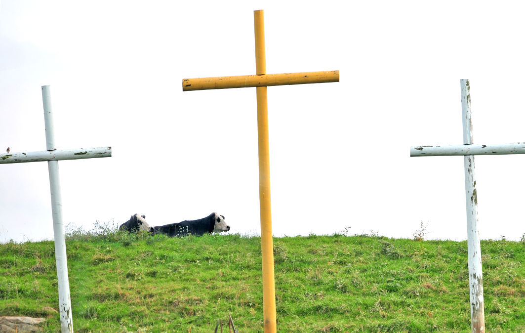 GALLERY: Crosses Across America | Multimedia | register-herald.com