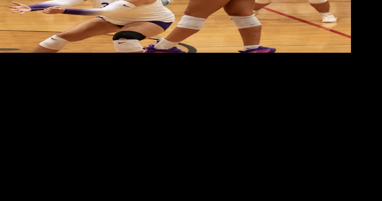 Prep volleyball: James Monroe is still a veteran team | Sports ...