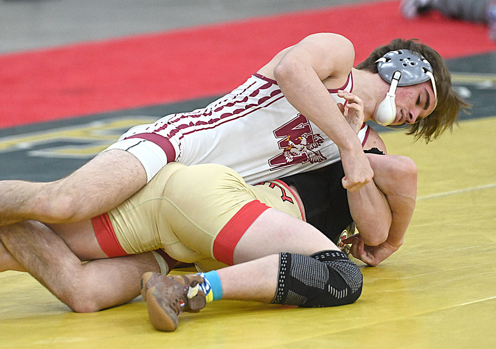 State wrestling tournament: Six area wrestlers win state championships ...