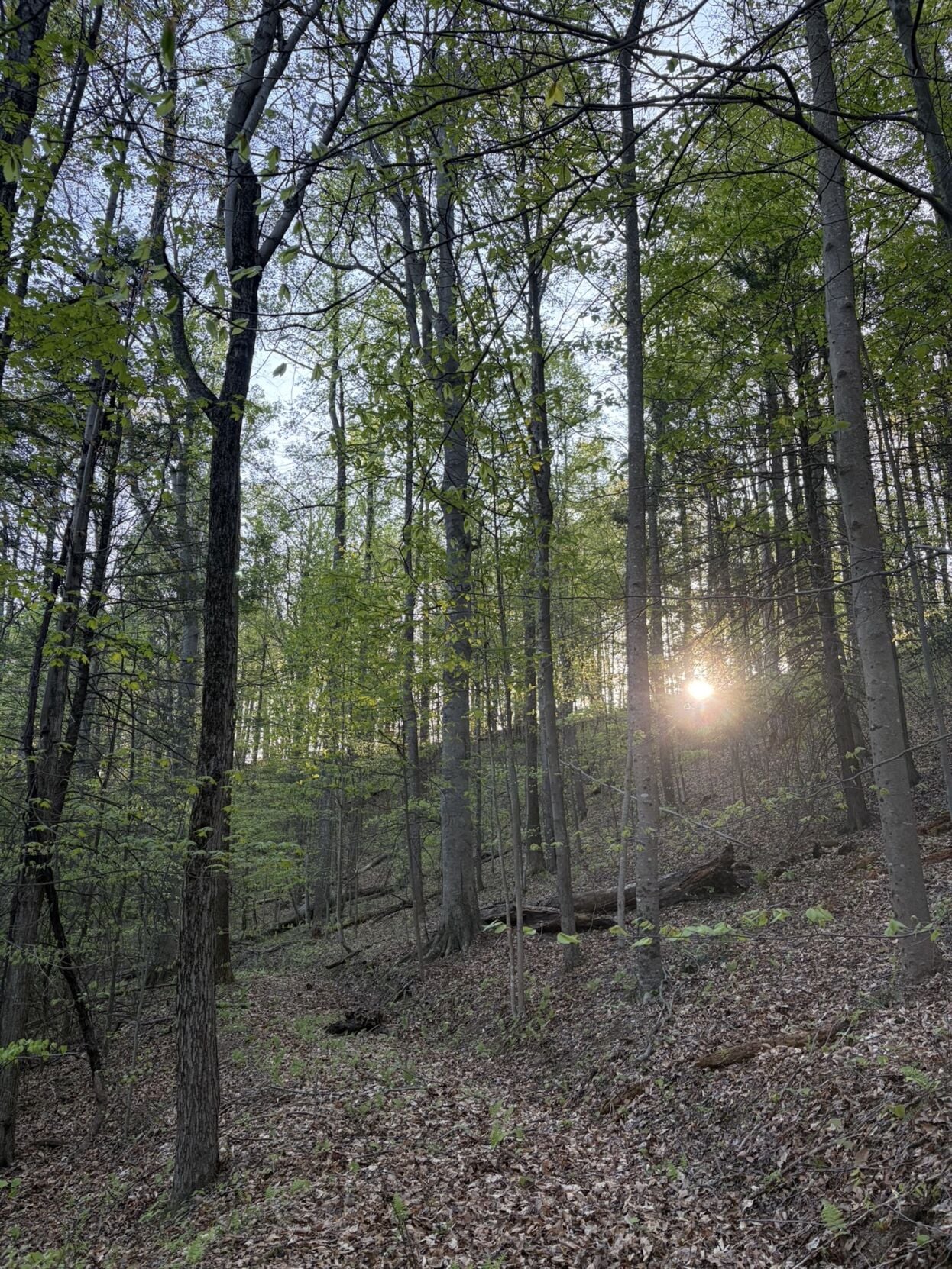 Chris Ellis: The fun is in the challenge | Sports | register-herald.com