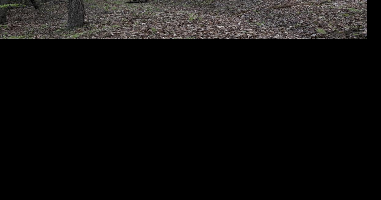 Chris Ellis: The fun is in the challenge | Sports | register-herald.com