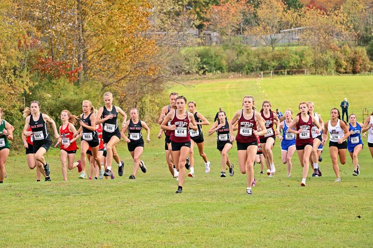 Canaday, McClintic win AAA Region 3 cross country titles | Sports ...