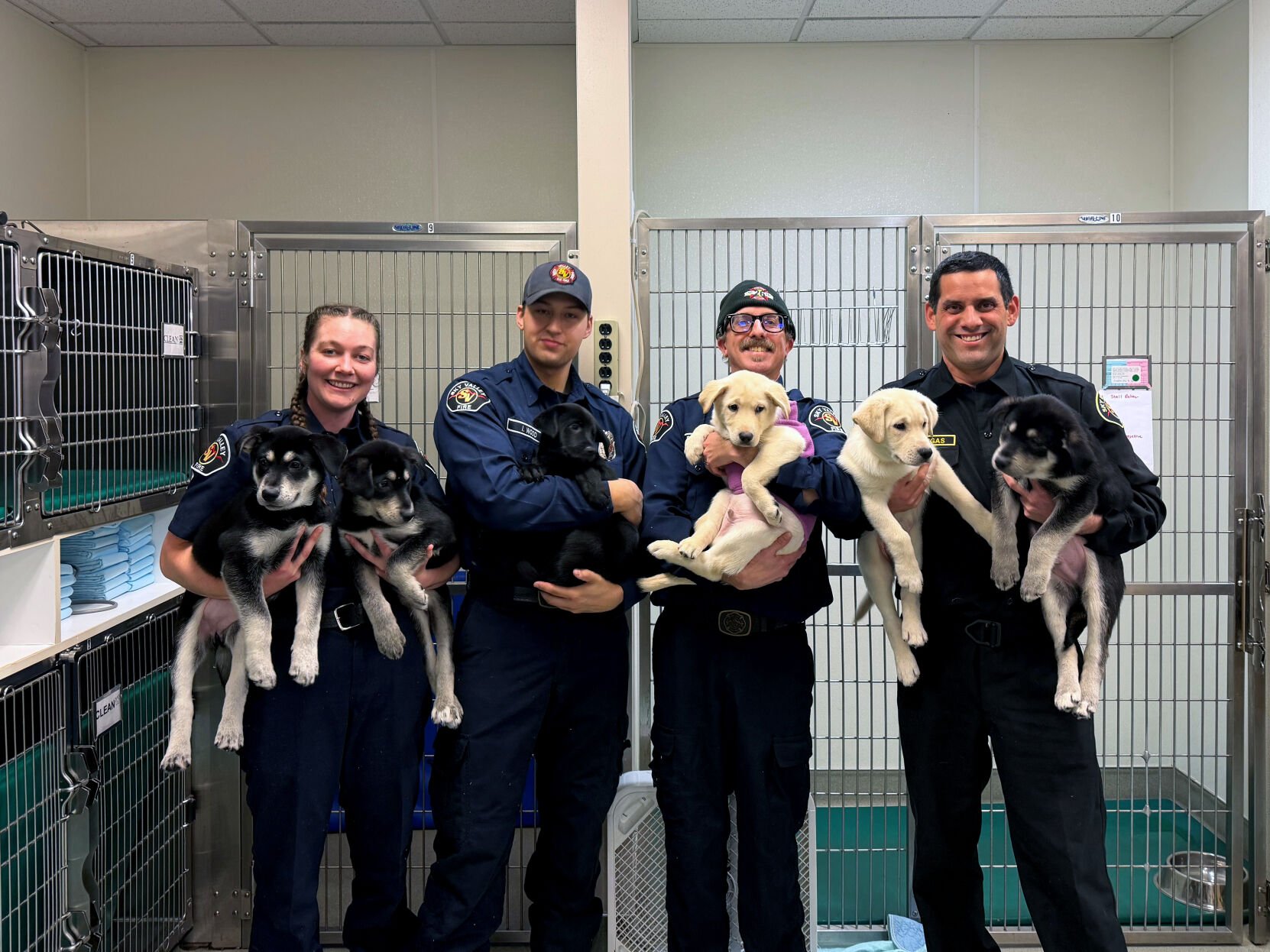 6 puppies treated for a suspected opioid overdose in Washington will ...