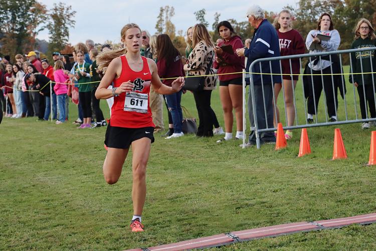 Canaday, McClintic win AAA Region 3 cross country titles | Sports ...