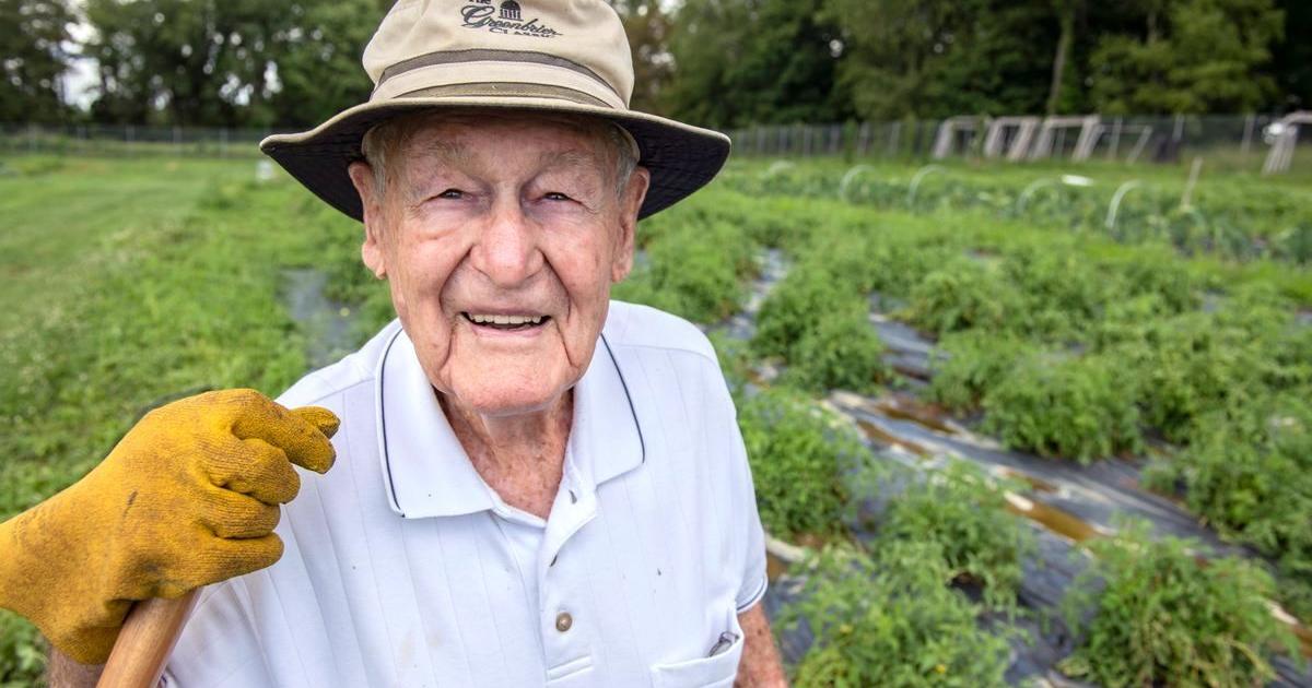 WVU professor emeritus and creator of "people’s tomato" unveils final ...